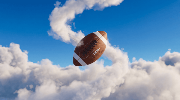 Go Team Sports | Teamwork makes the Dreamwork!