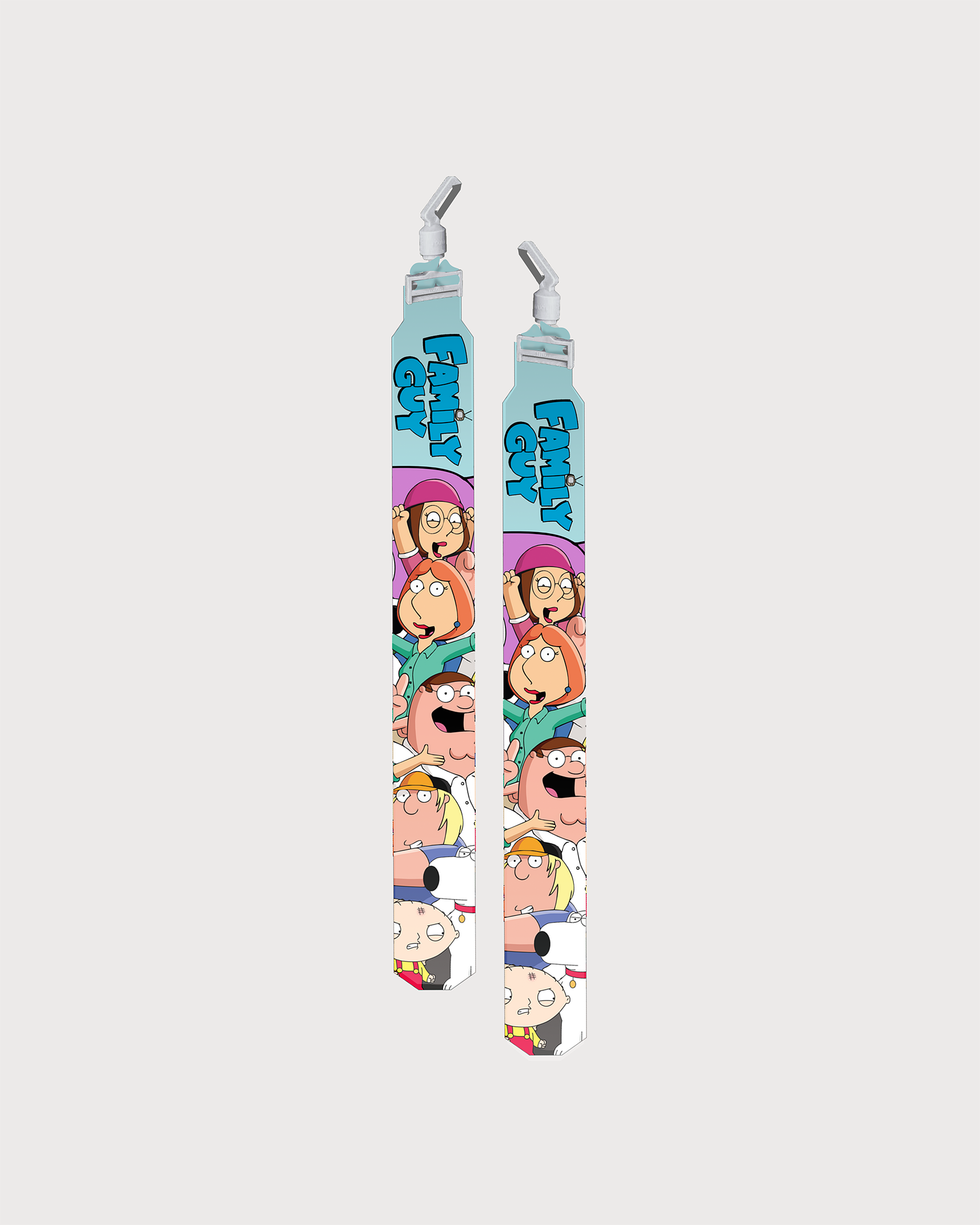 Family Guy Flag Set